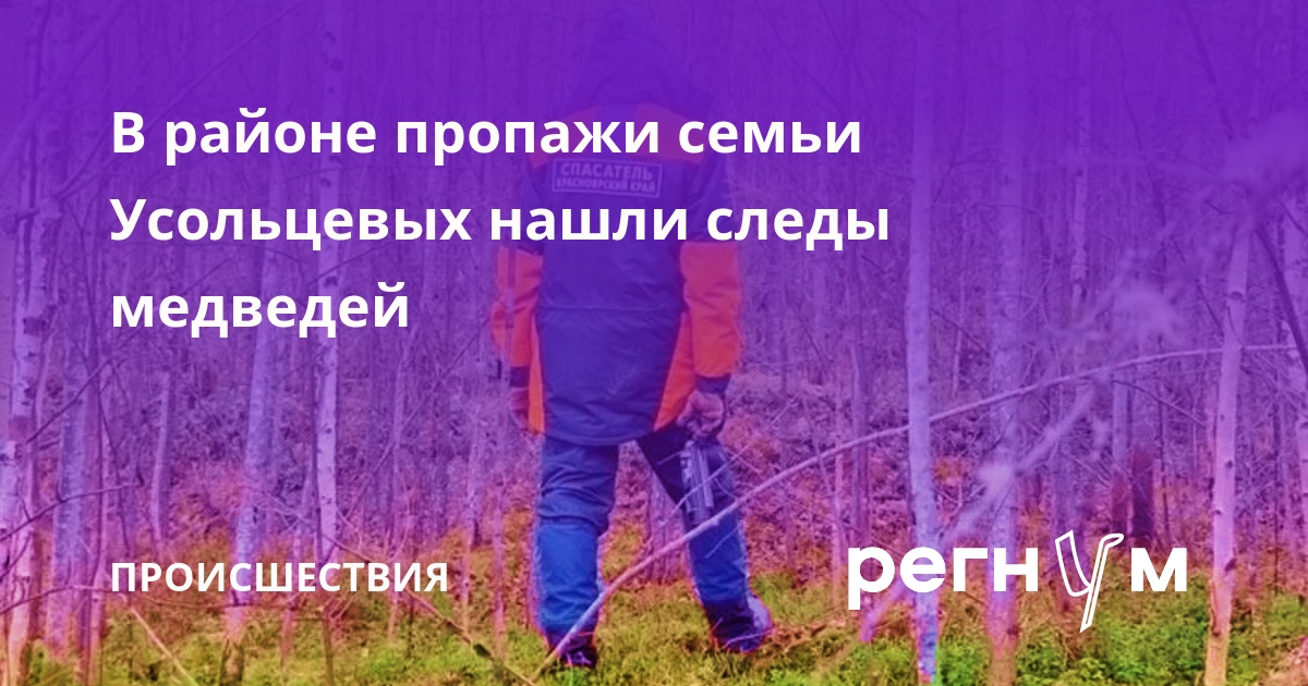 В районе пропажи семьи Усольцевых нашли следы медведей - ИА REGNUM