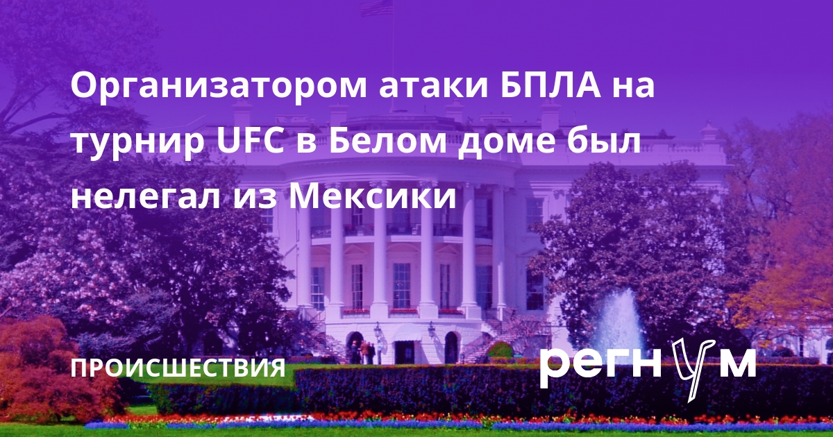 Организатором атаки БПЛА на турнир UFC в Белом доме был нелегал из ...